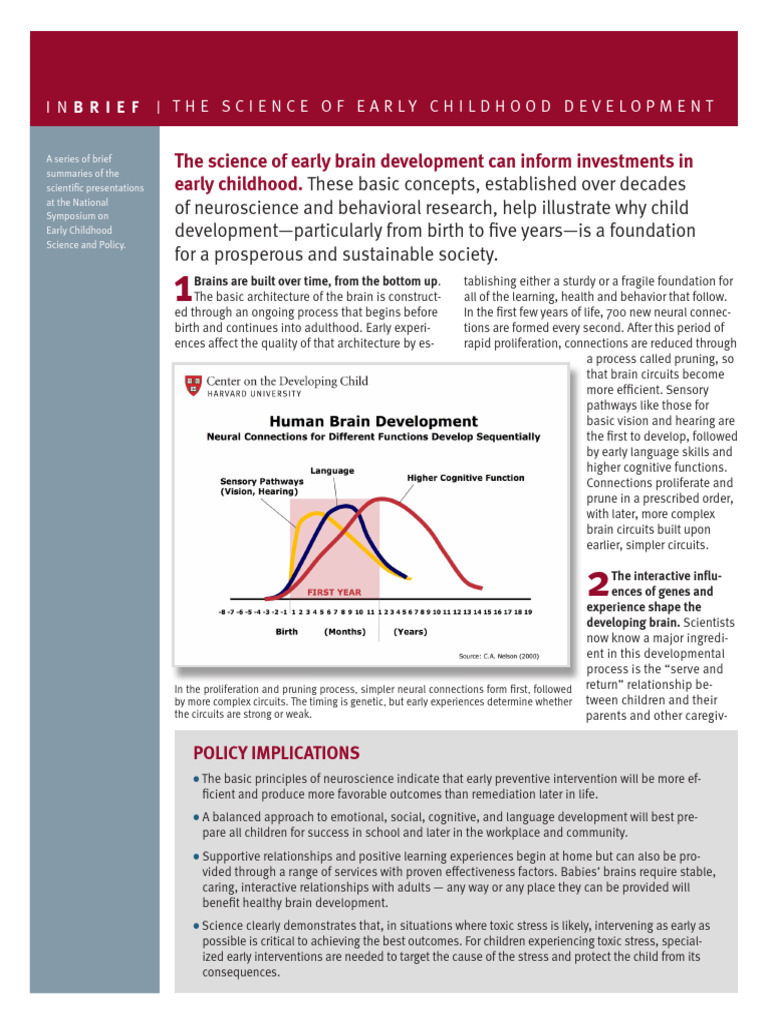 InBrief the Science of Early Childhood Development | PDF | Brain ...