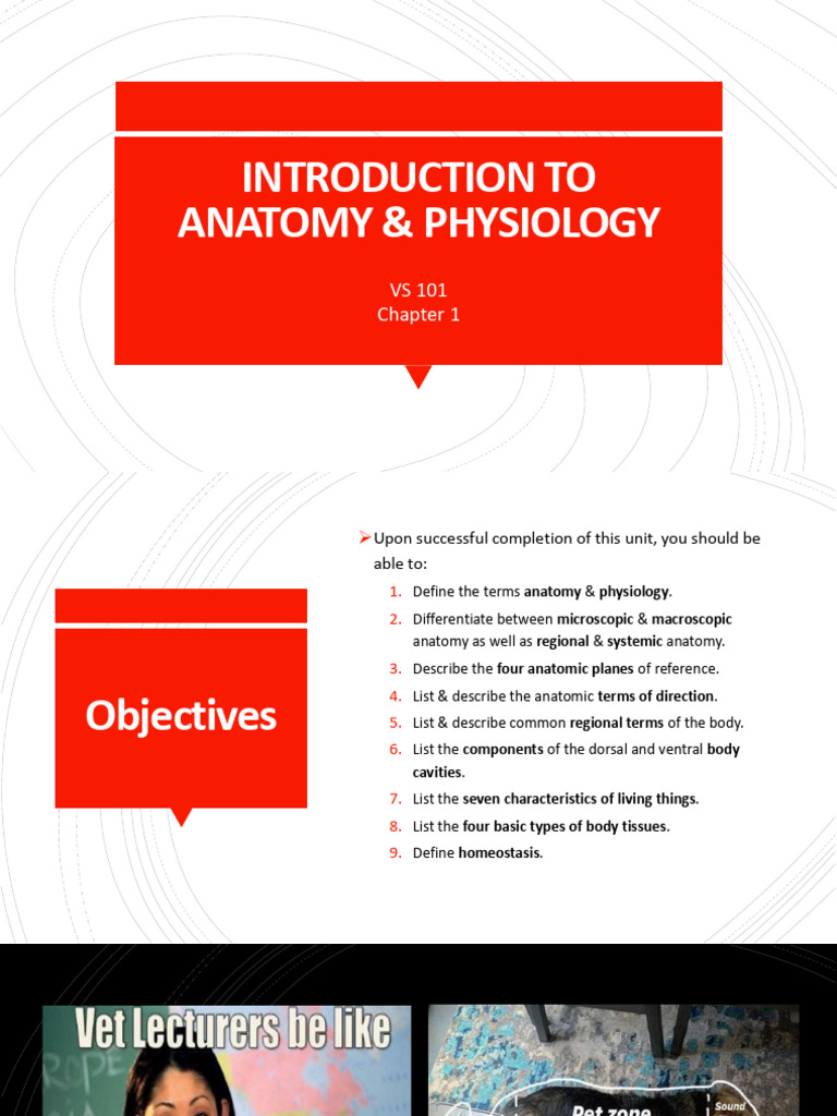 Chapter 1 - Intro To Anatomy & Physiology SH | PDF | Anatomical Terms ...