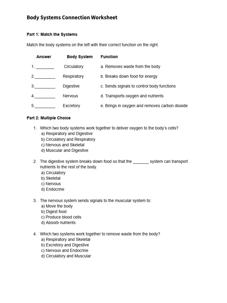 Body Systems Connection Wks | PDF