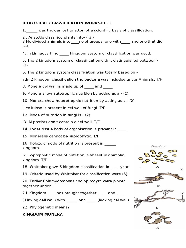 Biological Classification Worksheet | PDF | Fungus | Virus