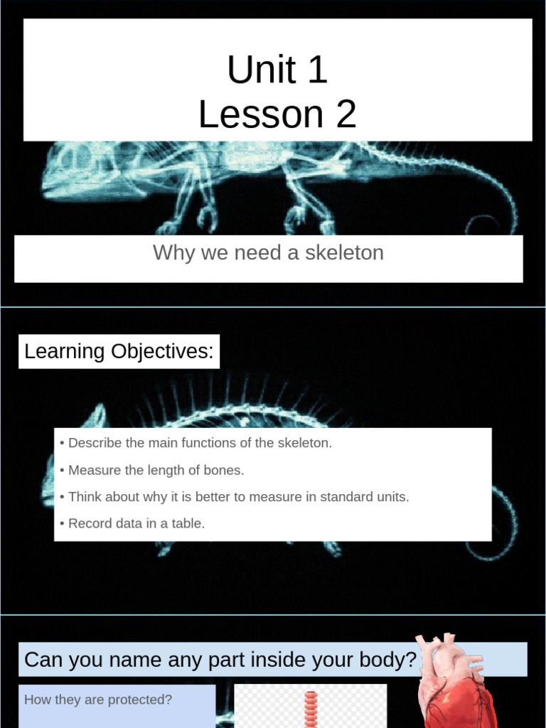 Science Year 4 Unit 1 Lesson 2 | PDF