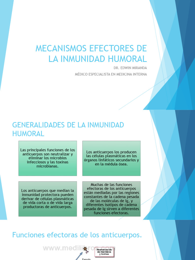 Mecanismos Efectores de La Inmunidad Humoral | PDF | Sistema ...