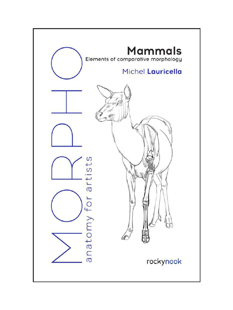 Morpho Mammals Elements of Comparative Morphology | PDF