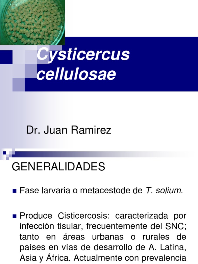 Morfología y patología de Cysticercus cellulosae | PDF | Medicina ...
