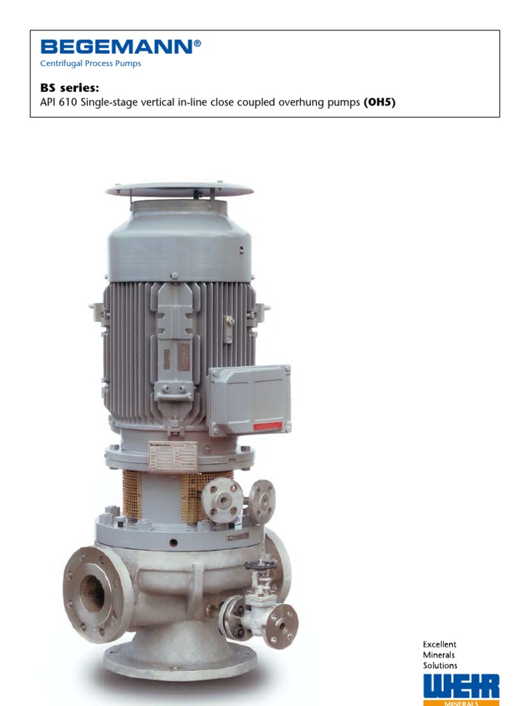 Brochure BEGEMANN BS Pumps-low Resolution | Pump | Engines