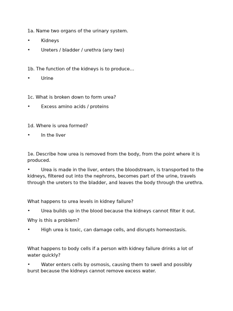 Dilusha 11f Osmoregulation Worksheet | PDF | Kidney | Urinary System