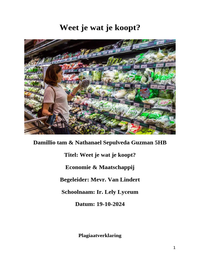Voorbeeld-pws HAVO (1) | PDF