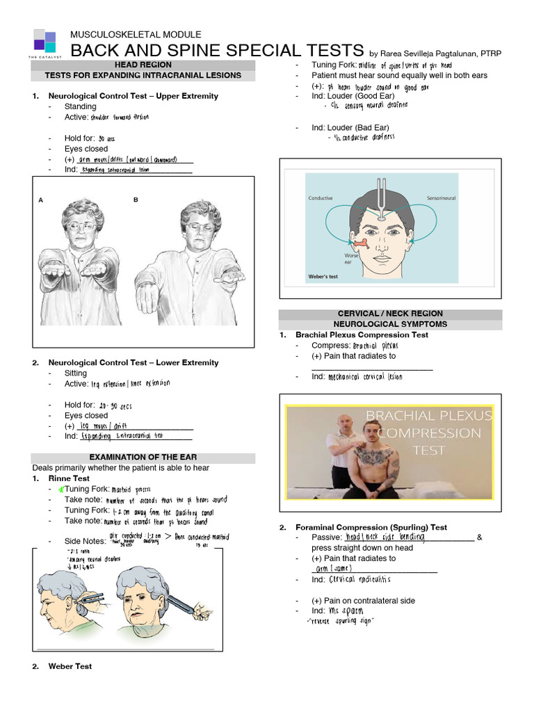 Head, Neck, Back, and Spine Special Tests | PDF | Anatomical Terms Of ...
