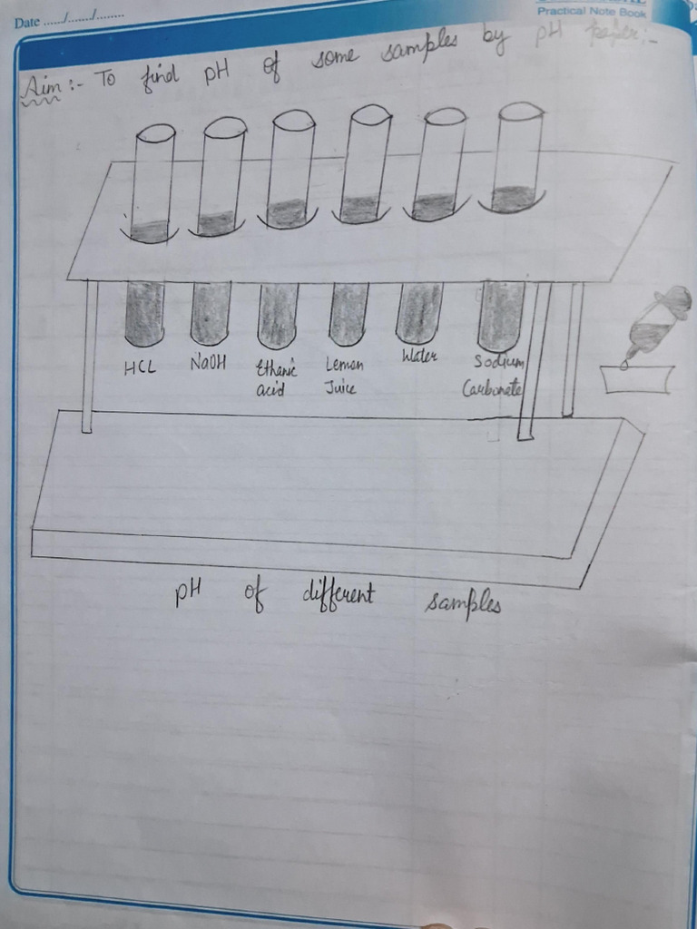 Class 10th Science Pratical File | PDF