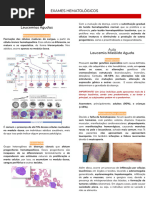 Bastonetes de Auer na Leucemia Mieloide | PDF | Leucemia | Biologia