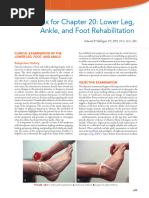 Ankle and Foot Assessment Techniques | PDF | Foot | Anatomical Terms Of ...
