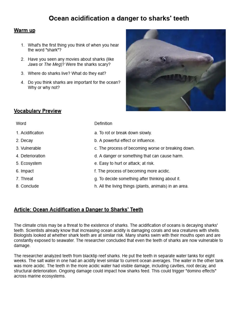 Ocean Acidification A Danger To Sharks' Teeth | PDF | Ocean ...