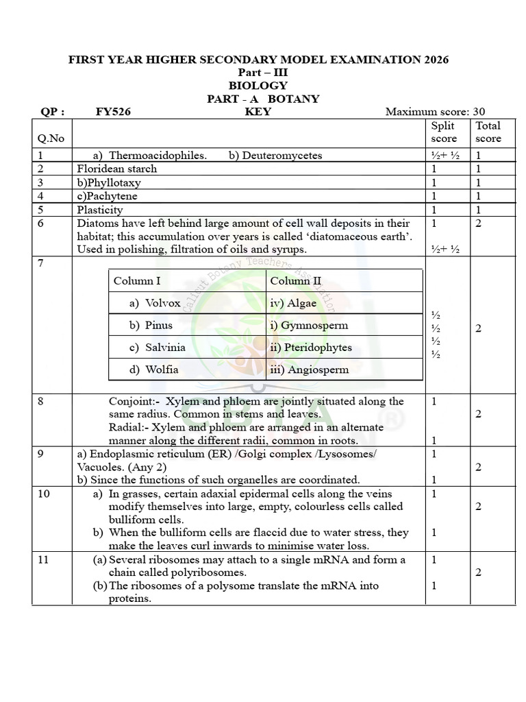 Hsslive Xi Model Key Botany Feb 2026 Cbta | PDF | Cell (Biology) | Ploidy