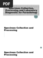 Direct Fecal Smear Method Overview | PDF | Medical Specialties ...