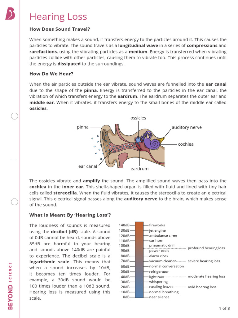 Hearing Loss Reading Comprehension | PDF | Hearing | Ear