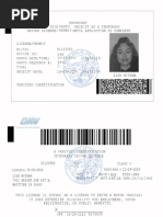 California Temporary Driver's License | PDF