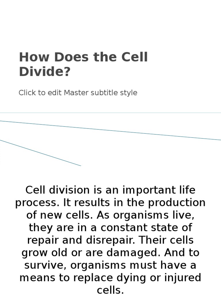 Understanding Cell Division Processes | PDF | Meiosis | Ploidy
