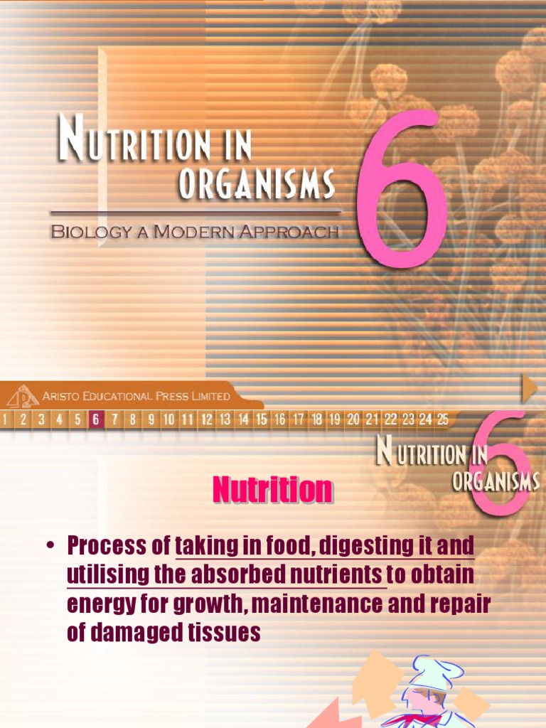 Nutrition in Organisms Ar | Nutrients | Digestion
