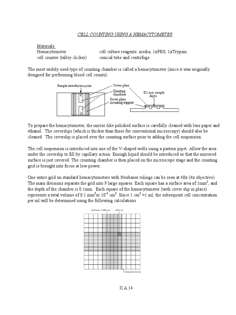 Hemacytometer Cell Counting Guide | PDF | Laboratories | Laboratory ...