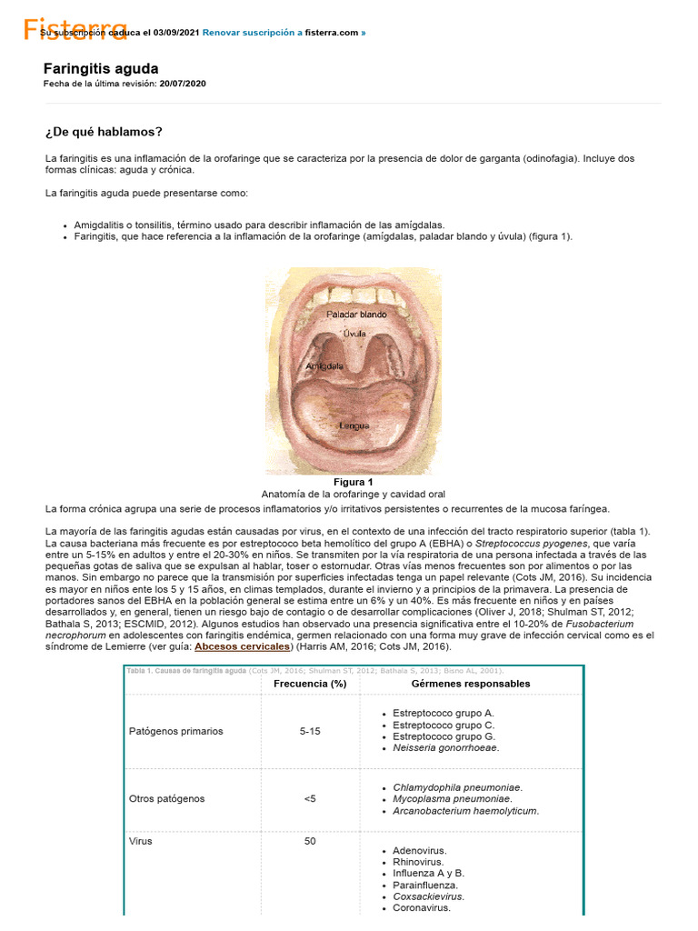 Guía Clínica de Faringitis Aguda | PDF | Penicilina | Enfermedades y ...