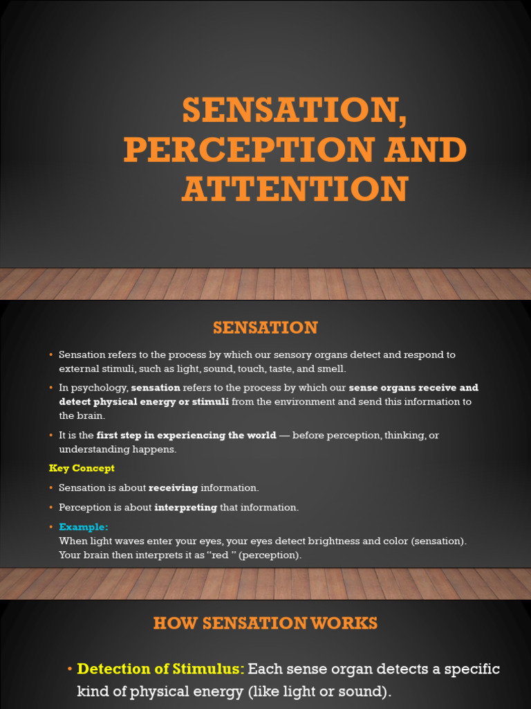 Sensation, Perception and Attention | PDF | Senses | Perception