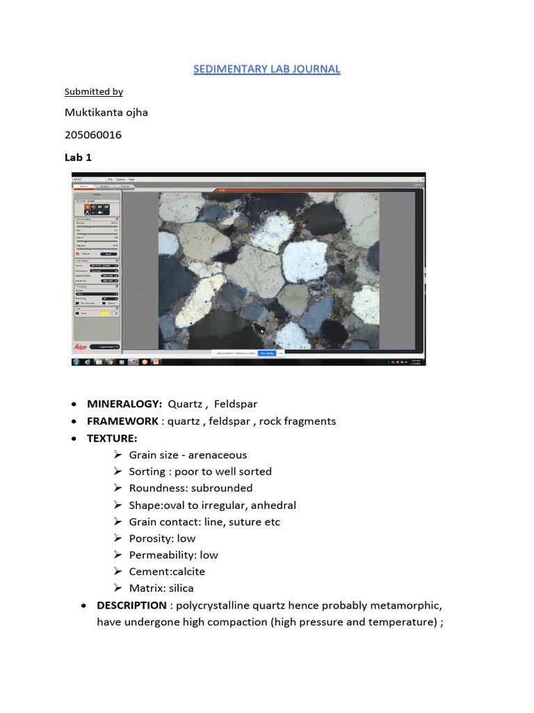 Sedimentary Lab - 205060016 | PDF | Limestone | Clastic Rock