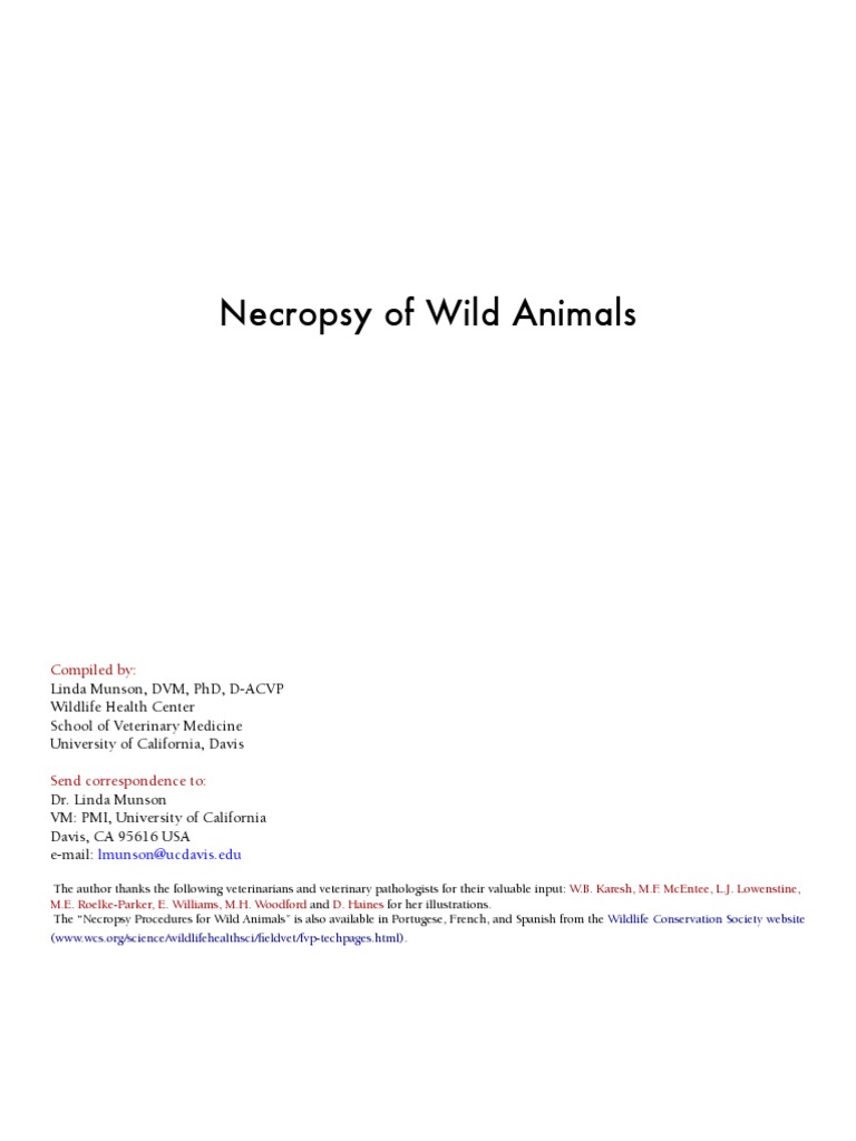 Wild Animal Necropsy | PDF | Gastrointestinal Tract | Autopsy