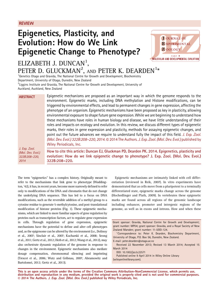 J Exp Zool PT B - 2014 - Duncan - Epigenetics Plasticity and Evolution ...