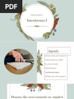 Triadan Tooth Numbering Guide | PDF | Dental Anatomy | Dentistry