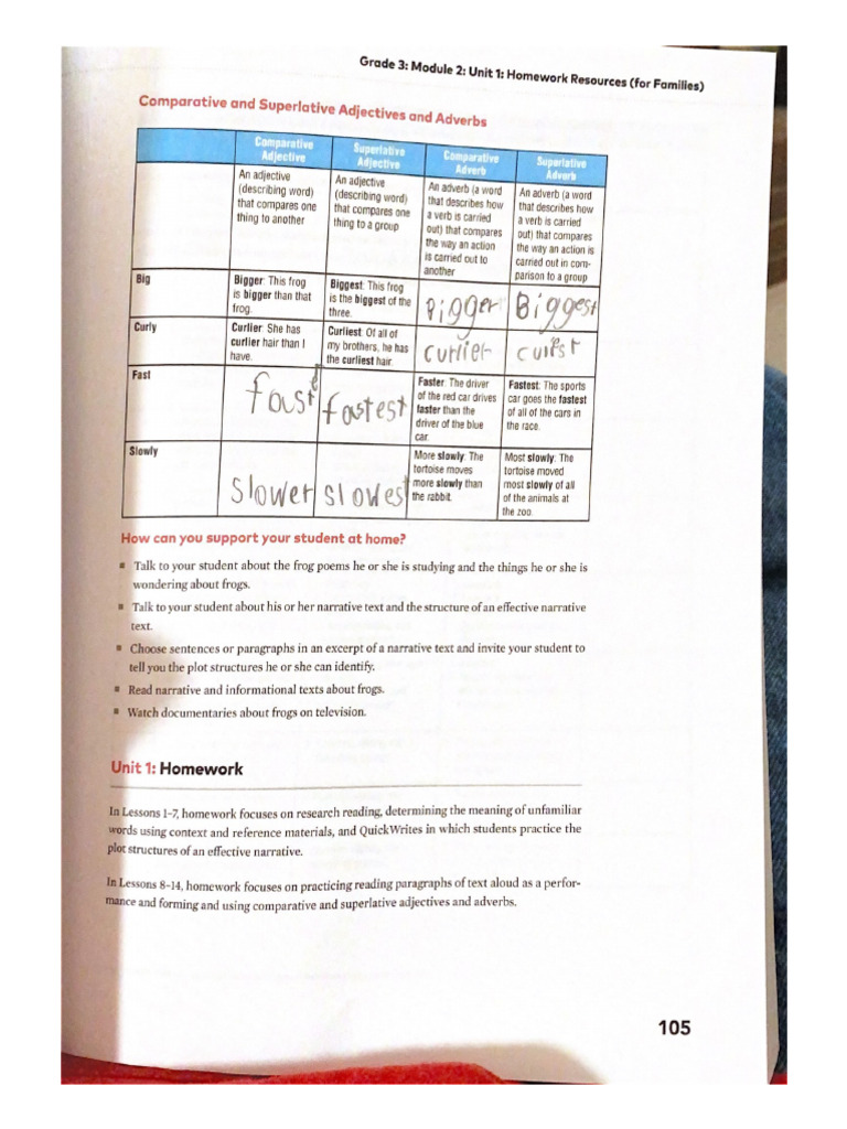 Grade 3 Module 2 Unit 1 Homework Resources (For Families) | PDF