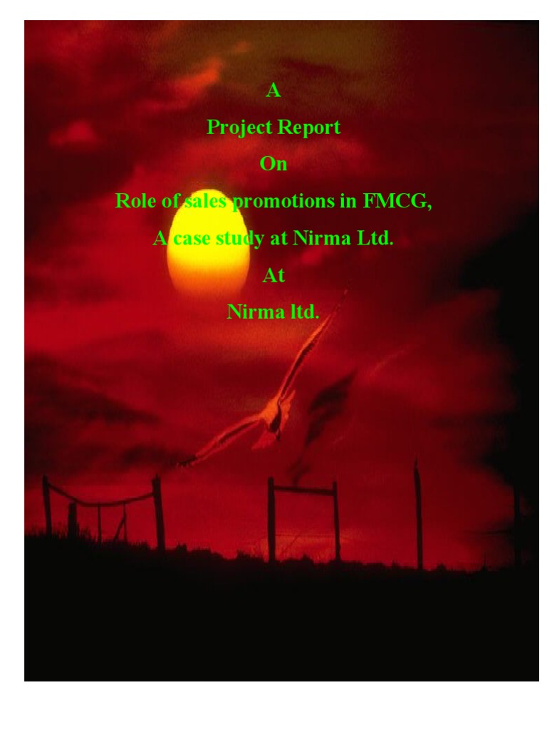 Role of Sales Promotions in FMCG, NIrma | PDF | Promotion (Marketing ...