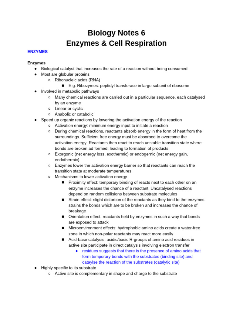 Biology Notes 6 - Enzymes & Metabolism | PDF | Active Site | Enzyme ...