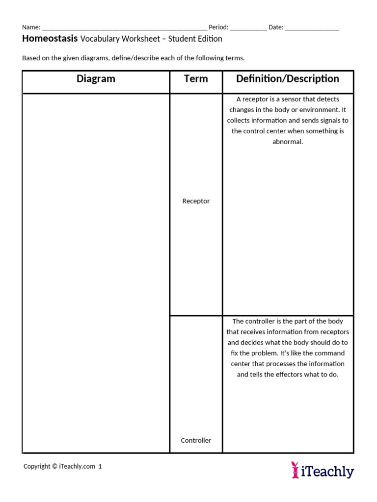 3 8 Vocabulary Worksheet SE Homeostasis | PDF | Homeostasis | Nervous ...
