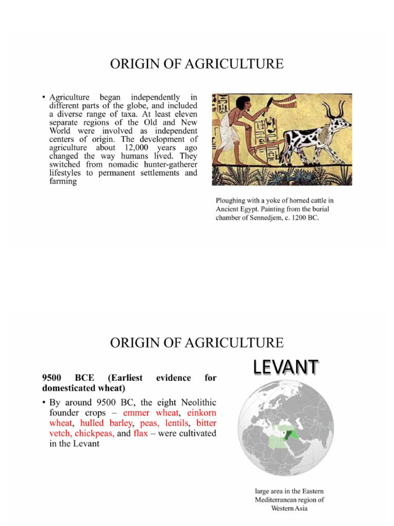 Imp History of Agriculture | PDF