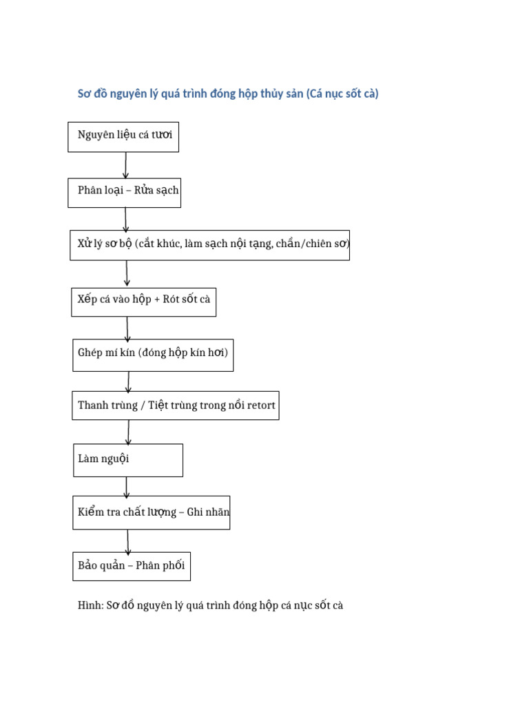 So Do Nguyen Ly Dong Hop CA Nuc FAO | PDF
