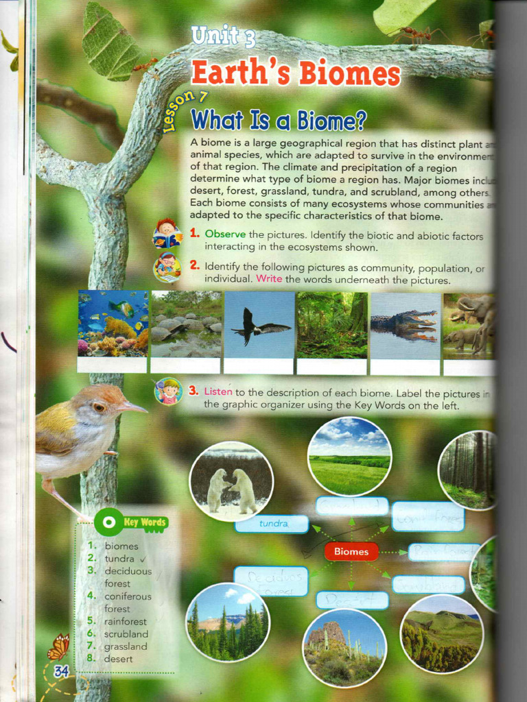 Earth Biomes | PDF