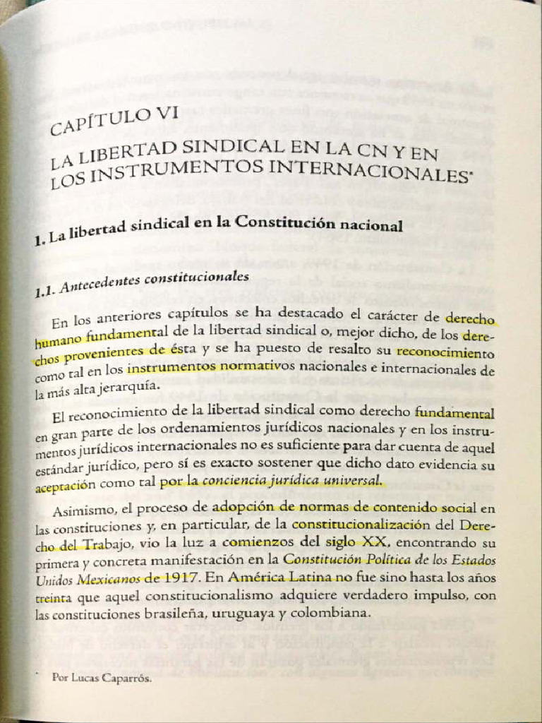 La libertad sindical en la CN y en los instrumentos internacionales ...