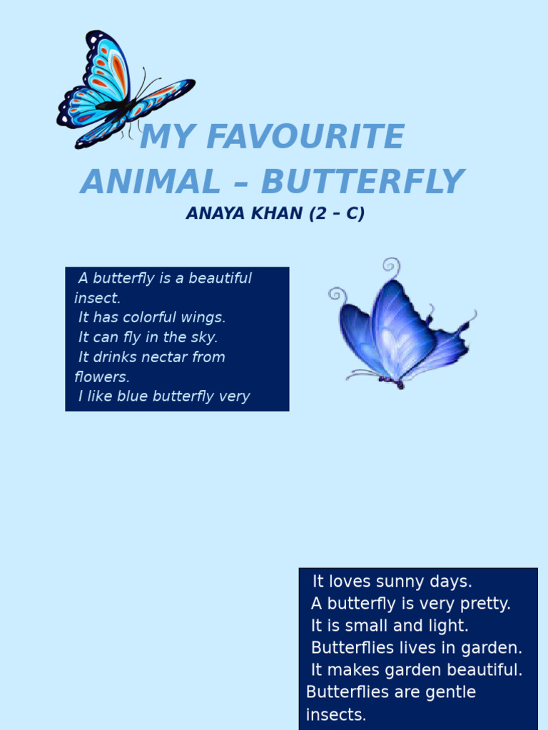 My Favourite Animal | PDF
