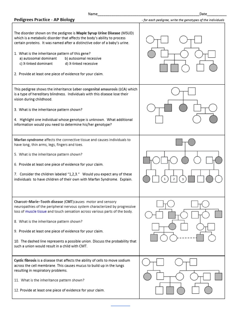 Pedigrees Worksheet 3 | PDF | Genotype | Diseases And Disorders