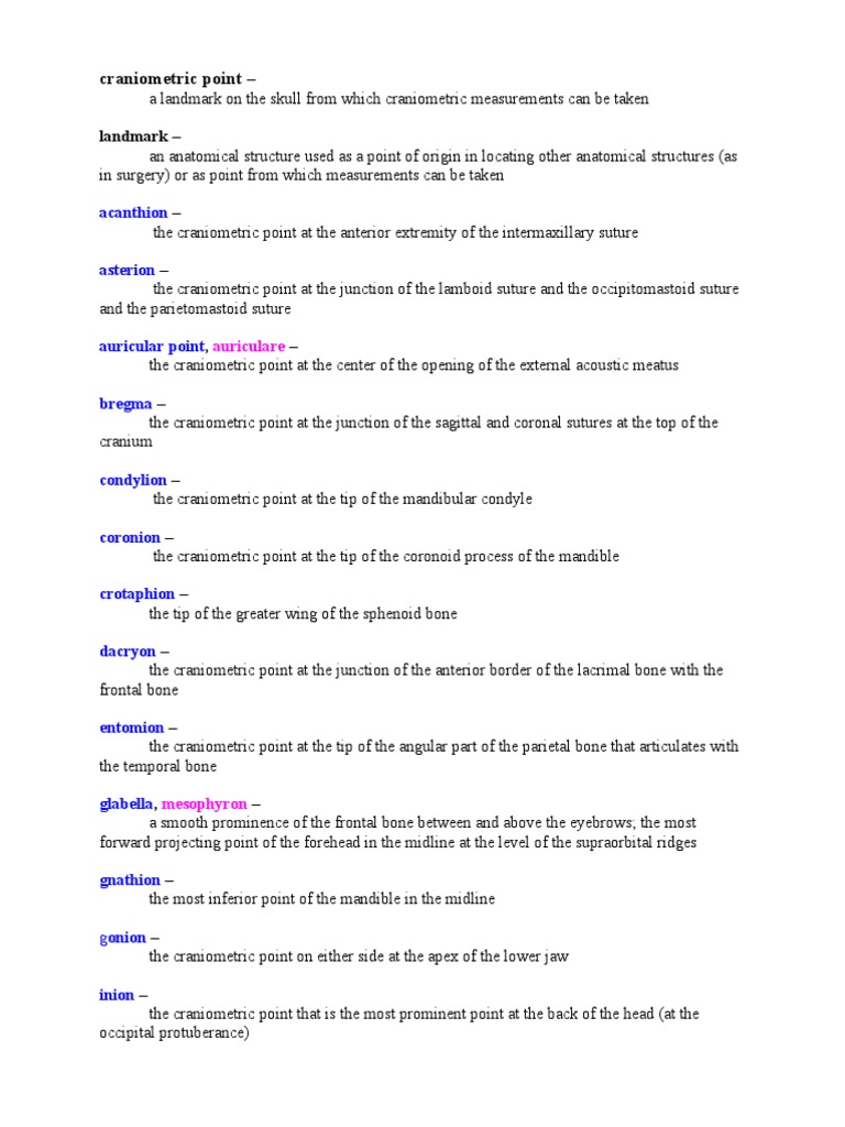 Skull Points | PDF | Skull | Primate Anatomy