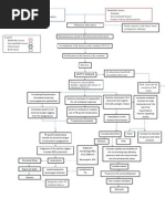 Cellulitis Pathophysiology | PDF | Inflammation | Medical Specialties