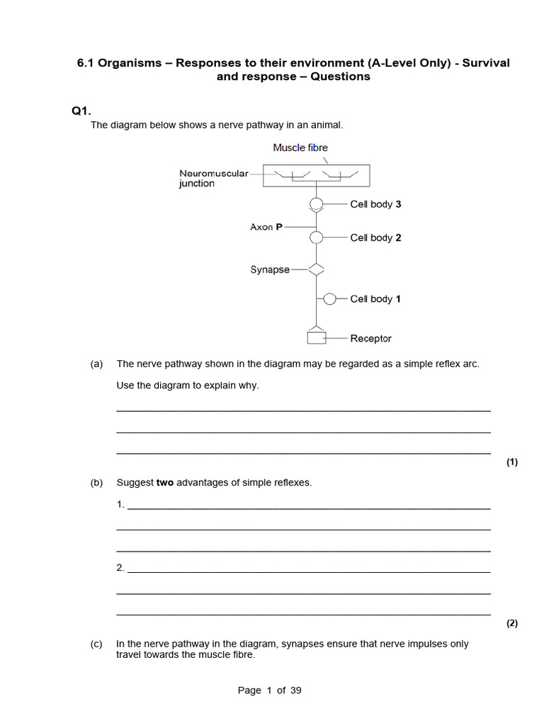 6.1 Organisms Responses To Their Environment A Level Only Survival and ...