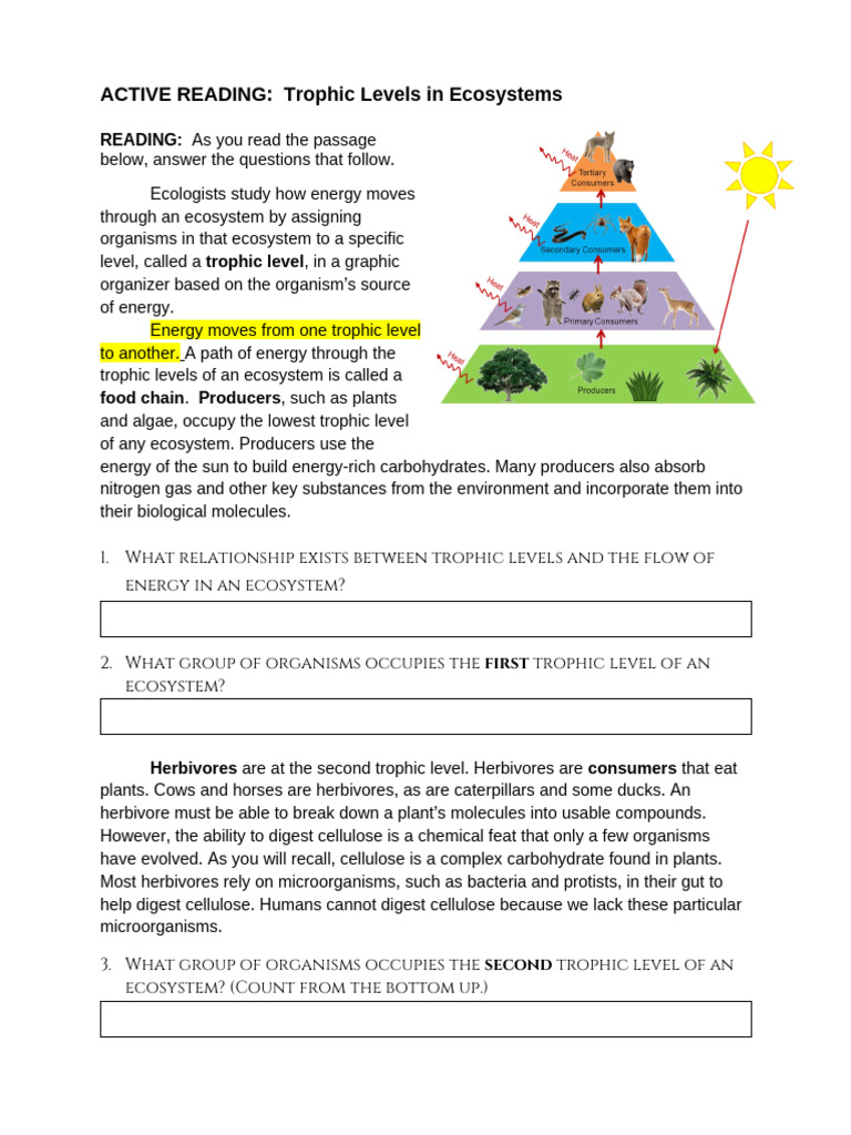 Samuel Souza - Trophic Levels in Ecosystems | PDF | Food Web | Ecosystem