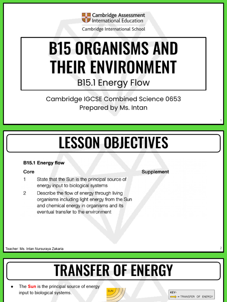 0653 CS Notes - B15 Organisms and Their Environment | PDF