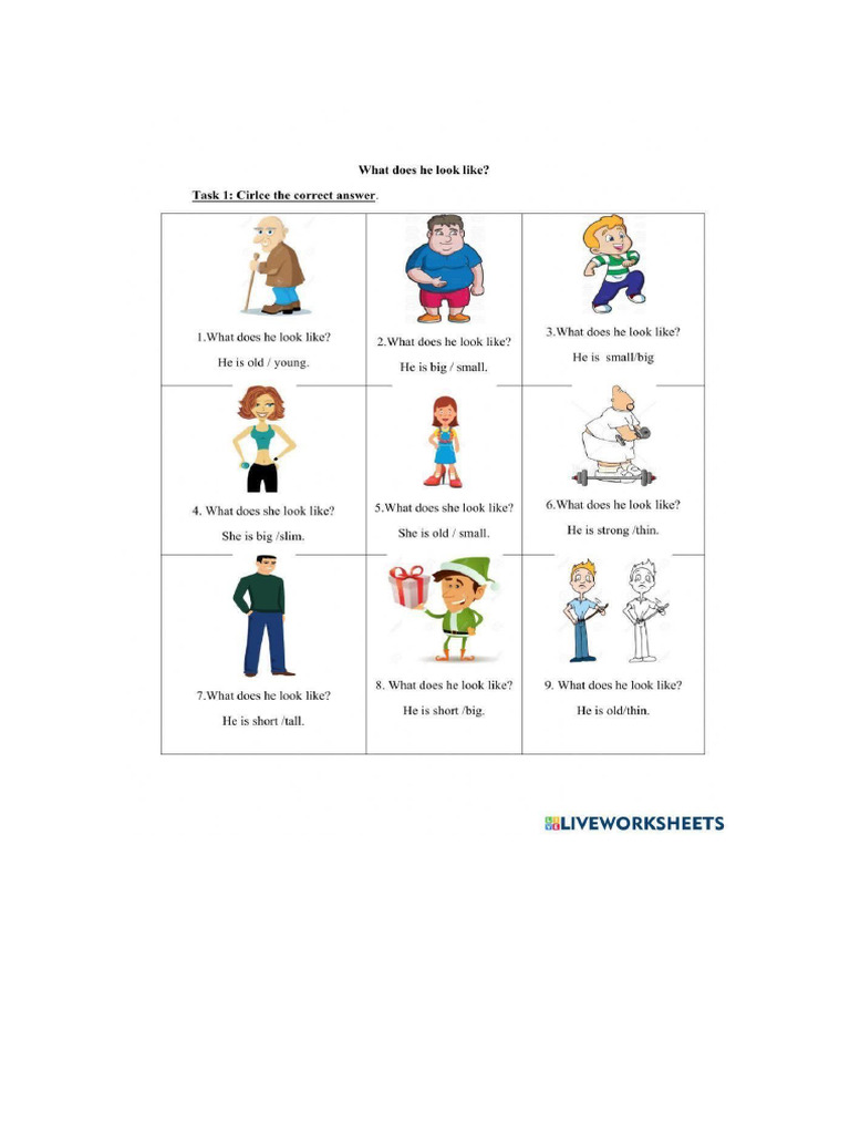 Look Like | PDF