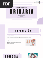 Obstrucción y Estasis Urinaria: Diagnóstico y Tratamiento | PDF ...