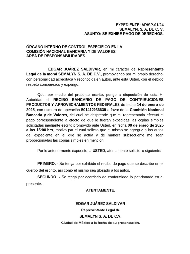 Desahogo CNBV | PDF