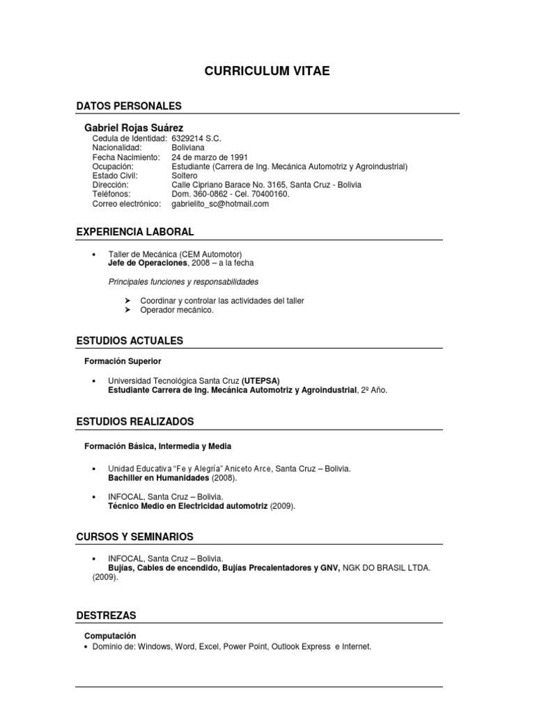 Curriculum Vitae Gabriel | PDF