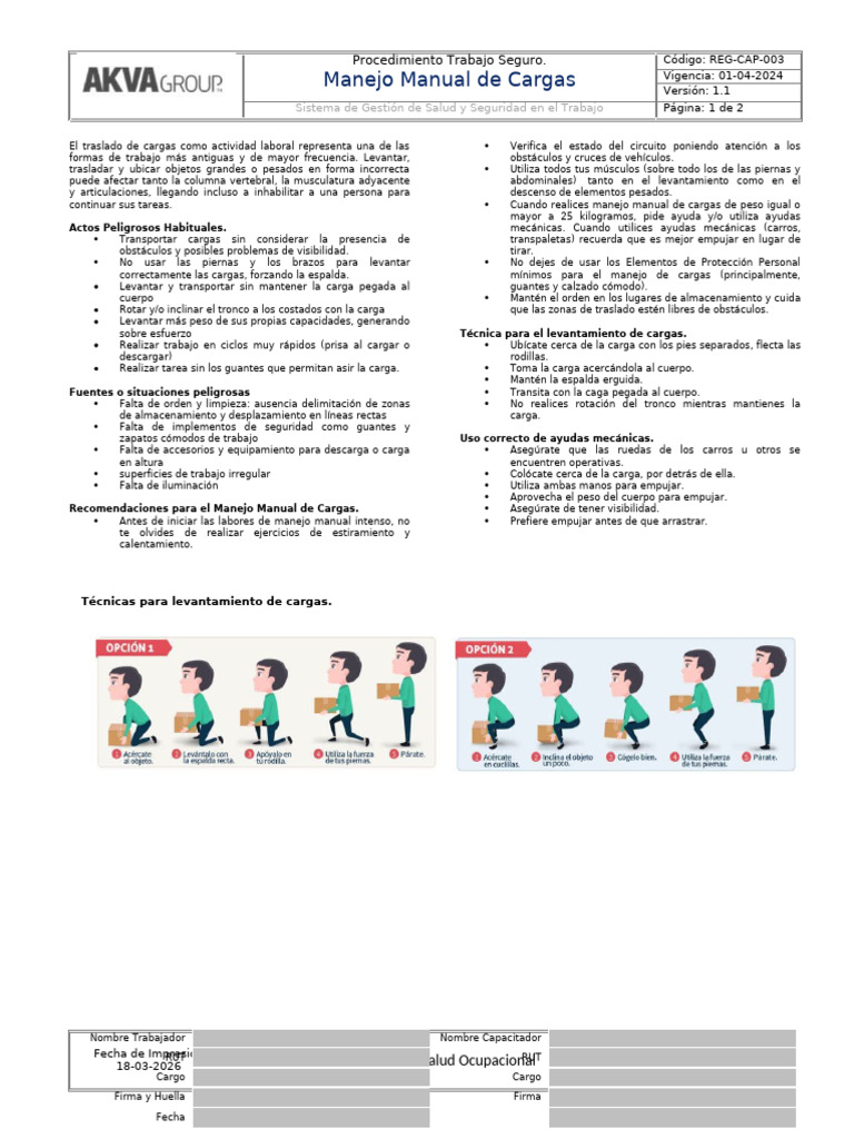 PTS Manejo Manual de Cargas 2024 | PDF