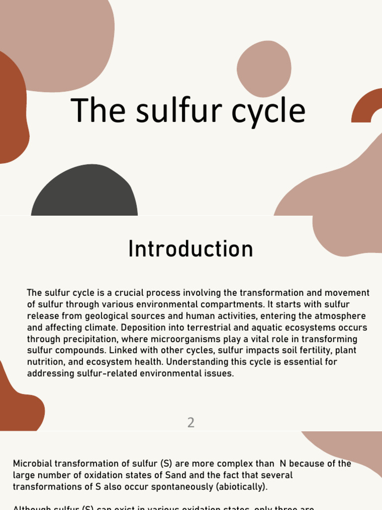 The Sulfur Cycle | PDF